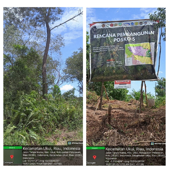 PT RAPP Tanggapi Tudingan Warga Soal Babat Hutan Buffer Zone TNTN