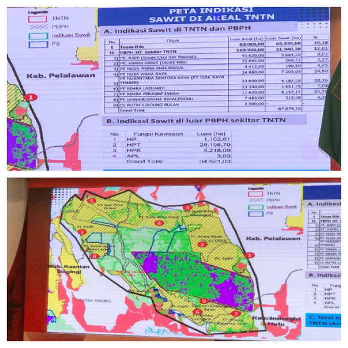 BREAKING NEWS: 9 Perusahaan Besar di Riau Ternyata Rambah Kawasan TNTN Jadi Kebun Sawit