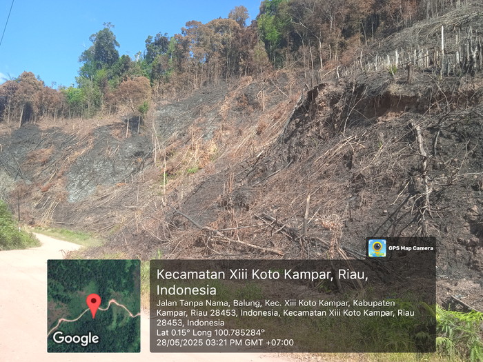 Oknum TNI yang Main Kayu Dilaporkan, Kejati Riau Terima Laporan ...