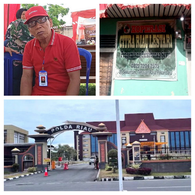 Ketua Koperasi Citra Riau Lestari Tenayanraya Pekanbaru Dilaporkan ke ...