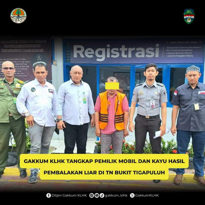 Gakkum KLHK Tangkap Oknum Pembalakan Liar di TN Bukit Tigapuluh