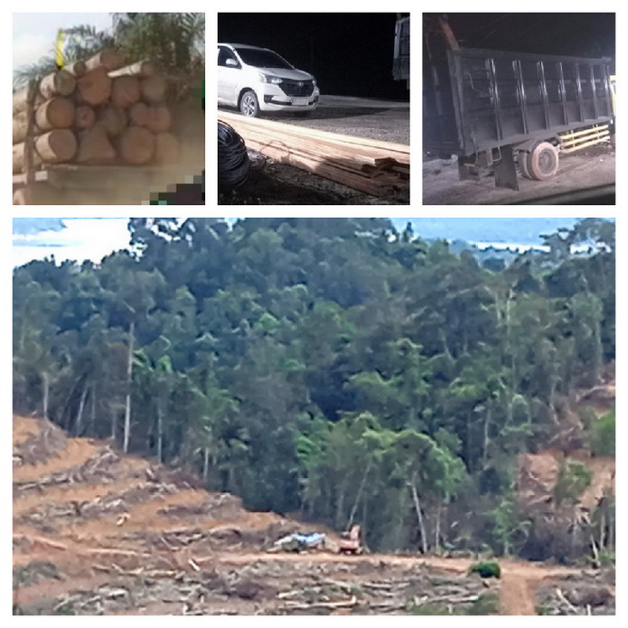 DetakIndonesia.co.id | Mencerdaskan Kehidupan Bangsa